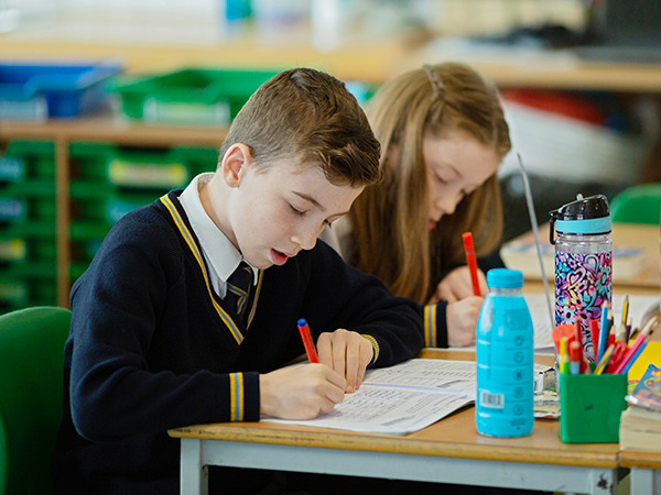 North Lancing Primary School Year Group Pages - North Lancing Primary ...